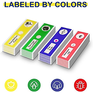 Jiusion 48Pcs Prepared Microscope Slides Specimen Animals Insects Plants Flowers Sample Biological Specimen, Stereo Microscope Slide for Kids Children Students Enlighten Education