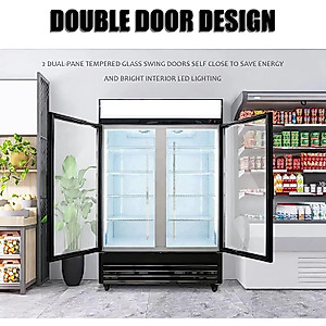 FRICOOL 51" Commercial Glass 2 Door Display Refrigerator Merchandiser - Upright Beverage Cooler With Led Lighting