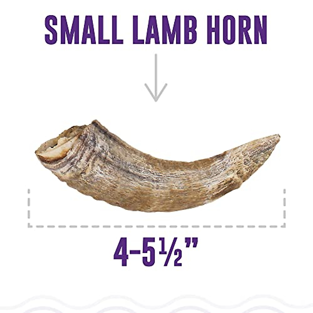 Icelandic+ Plus Small Lamb Horn with Marrow Dog Chew