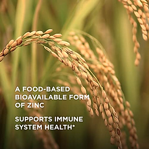 Solgar Earth Source Food Fermented Koji Zinc 25mg, 60 Vegetable Capsules - Higher-Absorption, Bioavailable Zinc for Immune & Skin Health - Non-GMO, Vegan, Gluten Free, Dairy Free, Kosher - 60 Servings