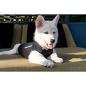 Shed Defender Recovery Suit for Dogs - Seen on Shark Tank, Post-Surgery Dog Onesie, Vet Approved, Anxiety Shirt, E-Collar Alternative, Calming Vest Jacket, Covers Hot Spots & Abdominal Wound, Bodysuit