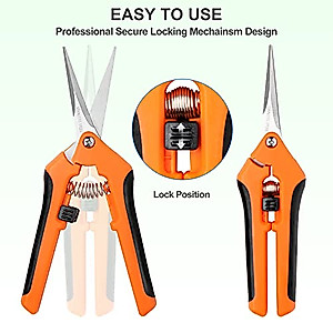 Premium Pruning Shears, Reggory Garden Shears with Upgrade Straight Stainless Steel Blades, Strong Sharp Garden Scissors, Clippers for Gardening/Indoor Plants.