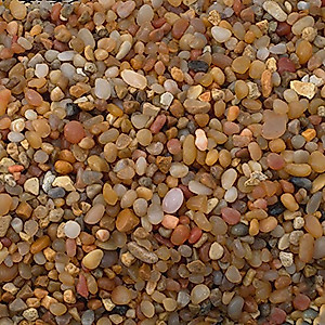 TerraGreen Creations Succulent Planter Kit - Terrarium Kit with Succulent Soil, Gravel, Pebble, Moss, Horticulture Charcoal, Terrarium Supplies For Fairy Gardens, or Cactus - Create Your Own Terrarium