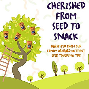 Looney Pruney Pitted Dried Prunes for the Entire Family | Always California-Grown | Kosher | No Added Sugar & No Preservatives (6 pack)