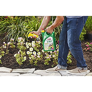 Ortho Insect Mite & Disease 3-in-1 Ready-To-Use, 1 gal.