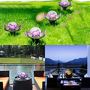 QZZP Solar Lights Outdoor Garden Decor,Crackle Globe Glass Decoration,Outside Waterproof Purple Metal Lotus Flower for Pathway,Walkway,Patio,Yard,Lawn,Tabletop,Ground
