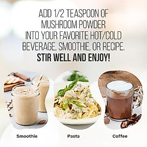 LRLA SUPERFOODS La Republica Titan 10 Organic Mushroom Powder for Focus, Immunity, Energy, Gut Health, and Skin (85 Servings, 3 oz)