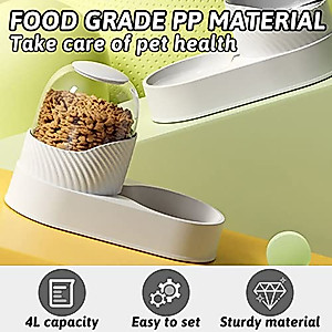 BNOSDM Automatic 2 Pcs Cat Dog Feeders Cat Food and Water Dispenser Set 2L Gravity Pet Food Feeder Water Bowl Dispenser, Self Feeding Station for Cat Puppy Small Dog