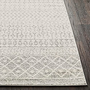 Livabliss Chester Boho Moroccan Area Rug,3'11" x 5'7",Grey