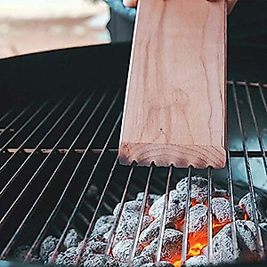 Hamburger Grilling Gift Set – Includes Smoker Box & Smoking Chips, Spices, Planks, Patty Press, Grill Scraper and More