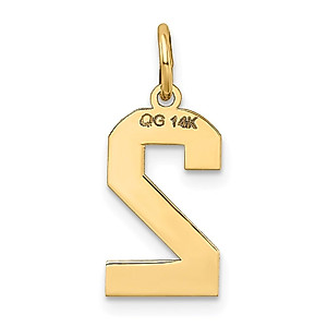 Auriga Fine Jewelry 14k Yellow Gold Medium Satin Number 2 Pendant (L- 20 mm, W- 8 mm) Gift for Women