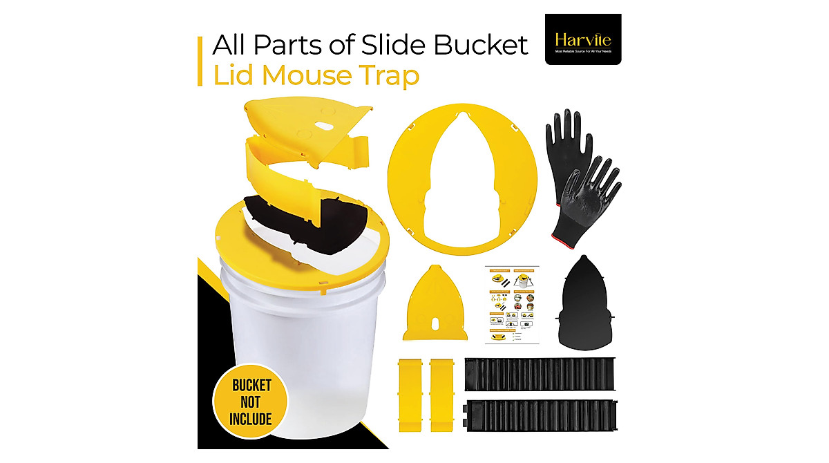 Second Gen Flip n Slide Bucket Mouse Trap - Humane & Reusable