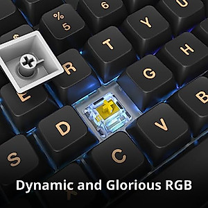 Montech MKey TKL Mechanical Gaming Keyboard: Customizable RGB LED, Premium MDA Profile PBT Keycap, Hot-Swappable Gateron G Yellow Pro 2.0 Pre-lubed Switches, Osaka Castle Theme, Darkness (MK87DY)