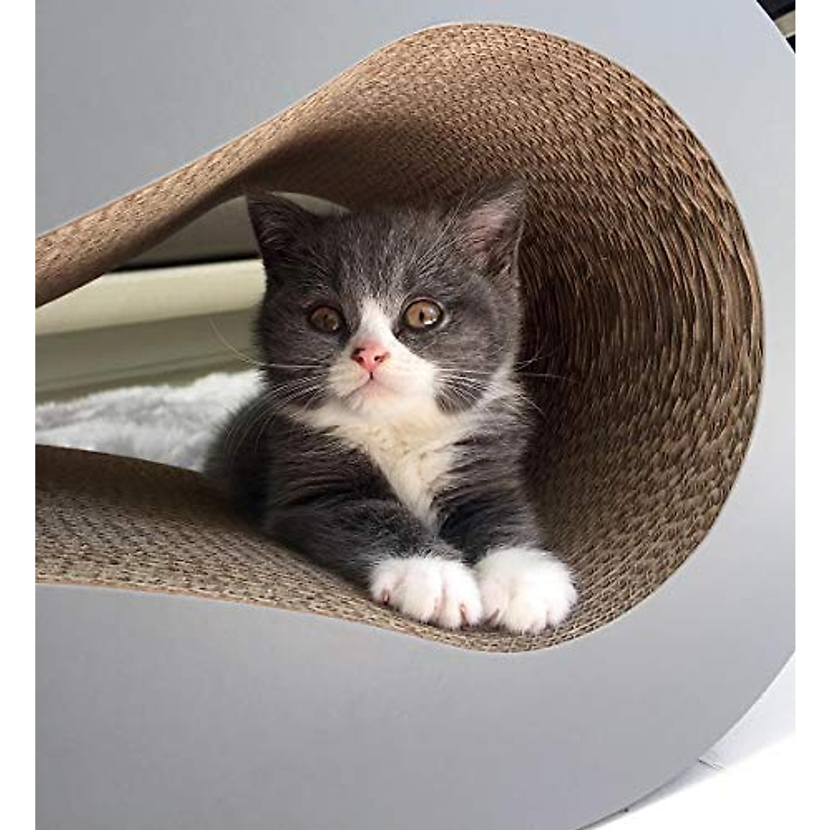 PetFusion Ultimate Cat Scratcher Lounge, Reversible Infinity Scratcher in Multiple Colors. Made from Recycled Corrugated Cardboard, Durable & Long Lasting