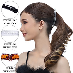 RC ROCHE ORNAMENT 6 Pcs Womens French Clutcher Slim Thin Banana Hair Clip Ponytail Maker Barrette Inner Teeth Secure Clasp Lock Strong Grip Cute Beauty Fashion Accessory, Large Clear Brown and Black