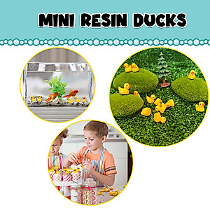HAVAGDTM 120 PCS Mini Ducks Miniature Duck Figures for Ornament Miniature Garden Aquarium Mini Ducks DIY Handmade School Project Party Favor