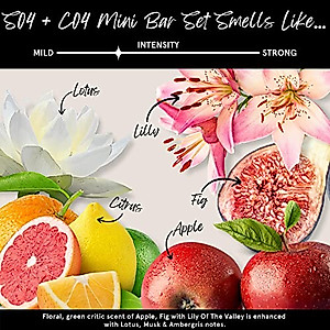 S04+C04 Solid Shampoo & Conditioner Set for Oily Roots and Sensitized Hair, Deeply Cleanse, All Natural Zero Waste and Organic Shampoo Bars for Hair,2 Travel Size Bars