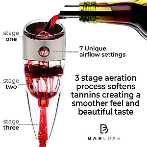 Wine Aerator, Wine Pourer - Best Wine Gifts for Women or Men - Instantly Aerate & Enhance Taste - Red Wine Aerator Decanter Set with Bonus Wine Pourer Disc & eBook 'Aerating Tips & Wine Accessories'