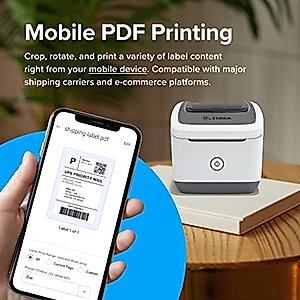 ZEBRA ZSB Series Thermal Label Printer - Small Home Office Wireless Labeling for Address, Folders, Shipping, Barcodes. Compatible w/UPS, USPS, Shopify, Ebay, FedEx, Amazon, Etsy - ZSB-DP12-2-in Width