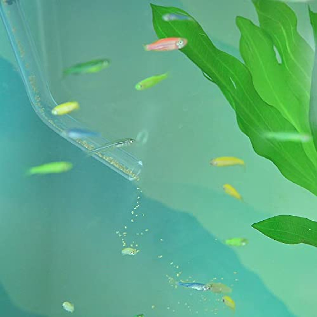 MRTIOO Spliceable 10-30 in Fish Tank Cleaning Tools, Aquarium Fish Coral Feeder, 4 in 1 Aquarium Siphon Gravel Cleaner Set, Water Changer Aquatic Bottom Waste Remover, Aquarium Pipette Accessies Tool