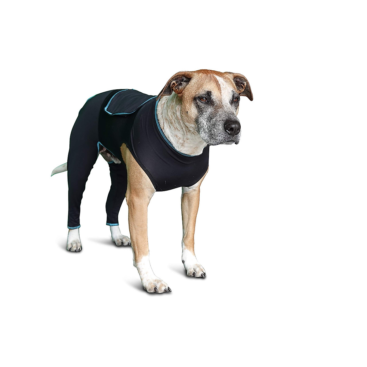 BENEFAB Therapeutic Comfort Suit for Dogs — Lightweight Far-Infrared Jacket for Canines of All Ages — Relaxing FIR Compression Suit Soothes Muscles, Joints, and Pain (Large)