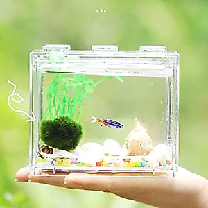 Small Betta Fish Tank, Large Fish Tank Fish Bow Aquarium with Imitation Starfish Coral Decoration, Clear Stackable Cube Tank for Ant Feeding Jellyfish Goldfish Moss Balls Insects,76oz