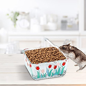 Acsist Hamster Food Bowl Small Animals Glass Water Bowl Food Dish Feeding Bowls for Guinea Pigs Gerbil Mouse Rat Chinchilla Hedgehog Sugar Glider(2 Pack,Red Daisy)