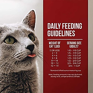 Fussie Cat Market Fresh Chicken & Turkey Meal Formula Grain-Free Dry Cat Food 4lb