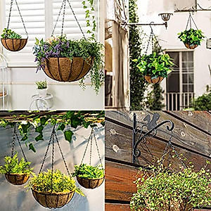 Acronde 4PCS Black Metal Hanging Chains 3 Point Holder Anti-Rust Paint Black Chain for Bird Feeders, Planters, Lanterns, Billboard, Wind Chimes, Flower Pot Garden Outdoor Use