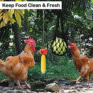 Tiibot 10 Pieces Chicken Toys Set for Hens Including Chicken Xylophone Toy Chicken Coop Mirrors Swing Ladder Toys Chicken Pecking Toys Veggies Skewer Vegetable Hanging Feeder for Chicken Coop