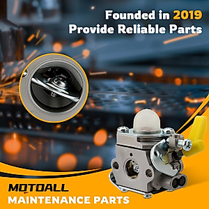 MOTOALL C1U-H60 Carburetor Blower for Homelite Ryobi RY28100 RY28120 RY28121 RY28140 RY28141 RY28160 RY28161 25cc 26cc 30cc Trimmer with AC04122 Air Filter Kit