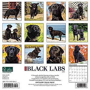 Just Black Labs 2021 Wall Calendar (Dog Breed Calendar)