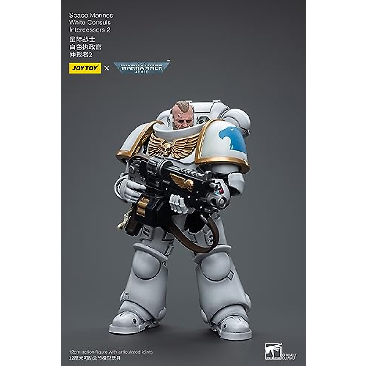 JoyToy Warhammer 40K: Space Marines White Consuls Intercessors 2 1:18 Scale Action Figure