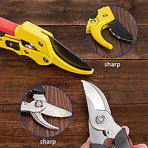 KOTTO 4 Pack Professional Bypass Pruning Shears, Stainless Steel Cutter Clippers, Sharp Hand Pruner Secateurs, Garden Trimmer Scissors Kit with Storage Bag and Protection Gloves