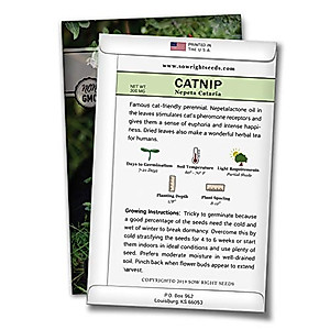 Sow Right Seeds - Catnip and Cat Grass Seed Collection for Planting Indoors or Outdoors, Includes The Popular herb Seed Catnip and Cat Grass (100% Sweet Oat Grass), Non-GMO Heirloom Seed