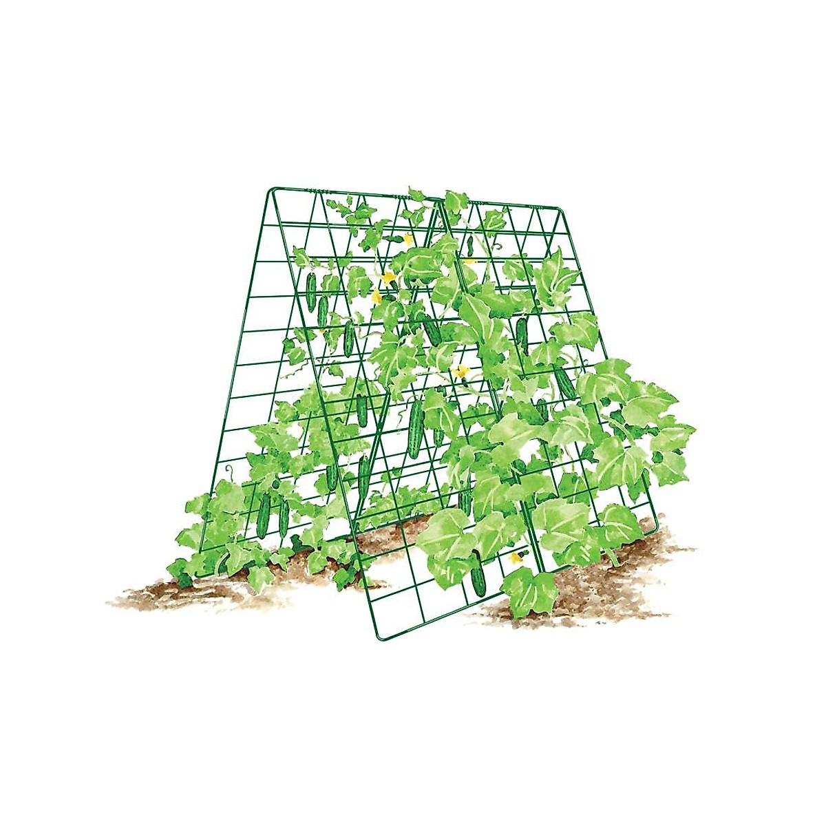 Gardener' s Supply Company Deluxe Cucumber Trellis | Outdoor A-Frame Trellis Plant Support for Vining Vegetables with 4" Grids for Easy Harvesting | 32" W x 46" H - Green