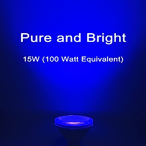 REMINDA Blue Flood Light Bulbs, 15W (100 Watt Equivalent) E26 Base Par38 LED Blue Light Bulb for Halloween Decor, Holiday, Christmas, Porch, Backyard (2 Pack)