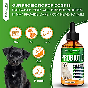 Probiotics for Dogs | Liquid Probiotics for Dogs | Prebiotic for Dogs & Digestive Enzymes | Puppy Probiotic | Dog Probiotics and Digestive Enzymes | 2 Oz