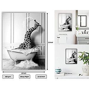 Funny Bathroom Decor Giraffe Animals Bathtub Poster–Unframed (12 x 16 Inch)– Bathroom Wall Decor, Black and White Bathroom Decor, Giraffe Wall Art Photo Pics Poster Funny Bathroom Modern Cute Chic Cool Unique Bathroom Sign