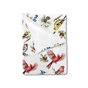 Vintage Winter Birds Baby Blanket Boys Girls Flannel Soft Receiving Blankets Colorful Birds Pine Cone Branch Swaddle Blanket Newborn Nursery Toddler Bed Crib Blanket Playmat 30x40