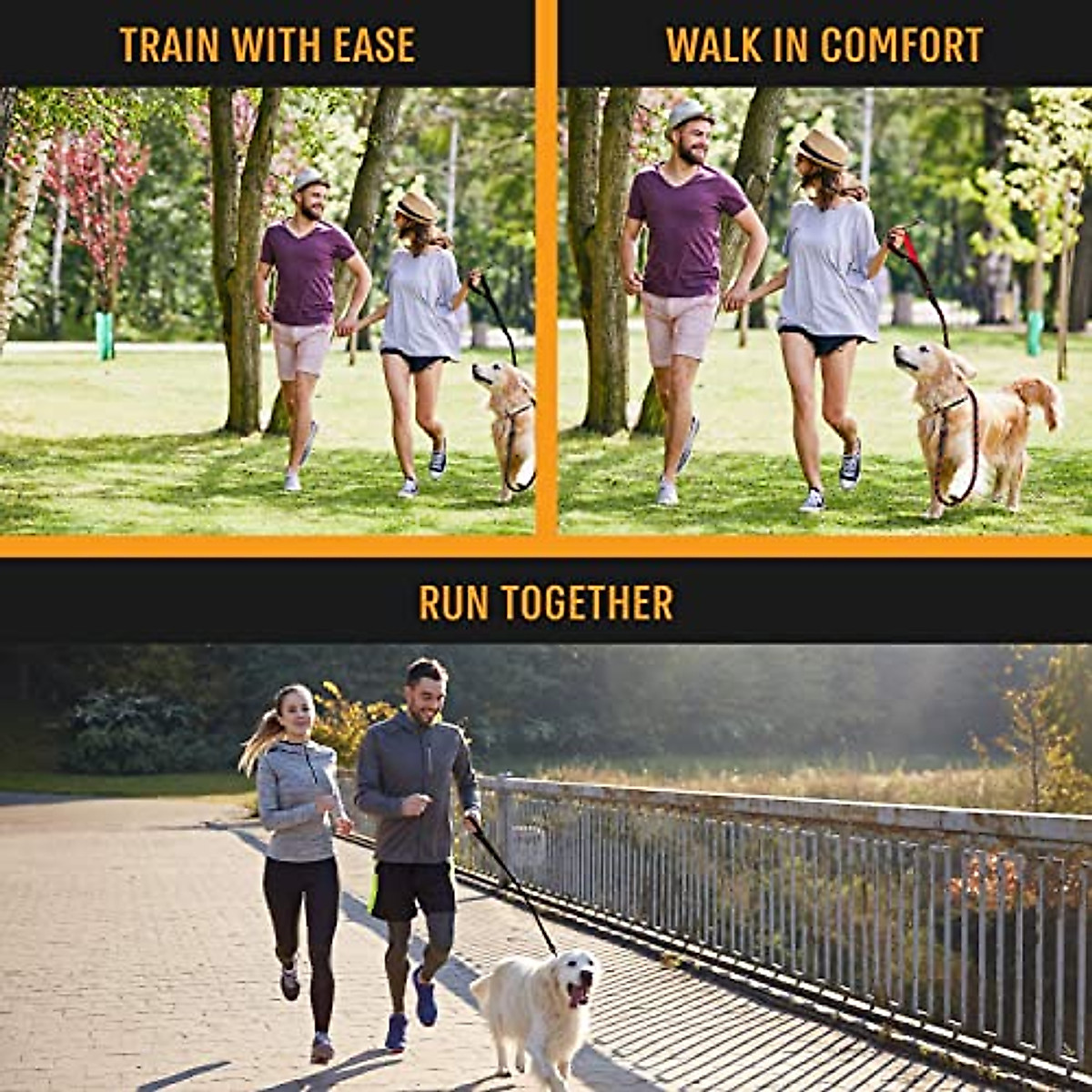 ACTIVE PETS Strong Dog Rope Leash with Soft Comfortable Padded Handle and Highly Reflective Threads, Dog Leash for Small Medium and Large Dogs, Puppy Leash for Training Running and Walking