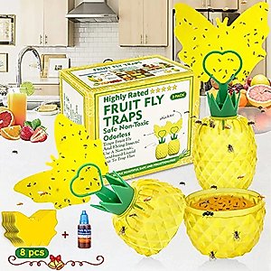 Protecker Fruit Fly Trap with Sticker, Effective Fly Catcher Gnat Trap with Yellow Sticky Traps, Gnat Trap with Bait for Indoor and Outdoor Safe Non-Toxic Fly Trap for Home, Plant, Kitchen(2 Pack)