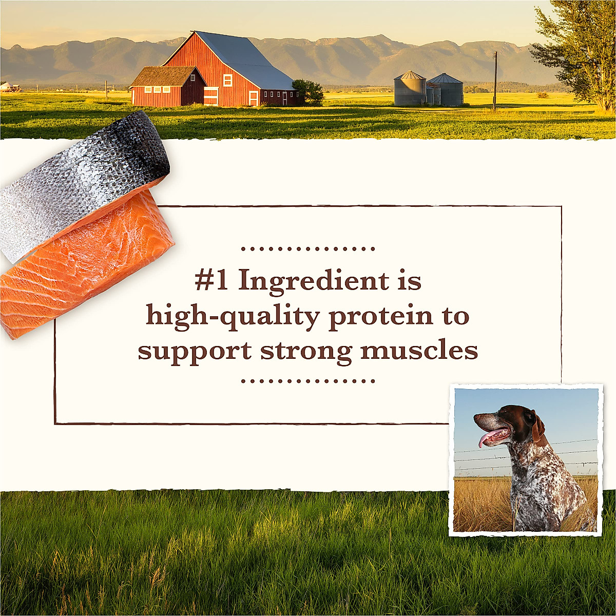 Whole Earth Farms Natural Grain Free Dry Kibble, Wholesome And Healthy Dog Food, Salmon And Whitefish Recipe - 4 LB Bag