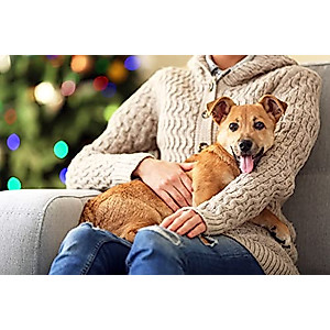 Animal Planet Urine Destroyer Professional Strength ( 32 Oz ) Oxygen Powered Formula Destroys Tough Odors & Stains Yet Gentle On Your Furniture And Carpet