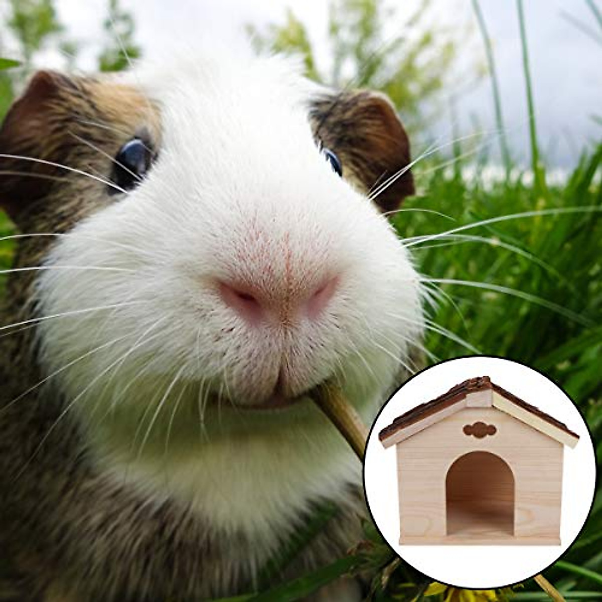 POPETPOP Guinea Pig Wooden House Bed Small Pet Animal Bed Nest Mini House for Squirrel Dutch Pig Hamster Hedgehog Rat Chinchilla
