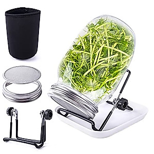 Seed Sprouting Jar Kit with 1 Wide Mouth Mason Jars Bean Sprouts Growing Kit Microgreens Growing Jar with Mesh Screen Lids Sprouter Sprouts Maker for Growing Broccoli, Alfalfa, Mung Bean