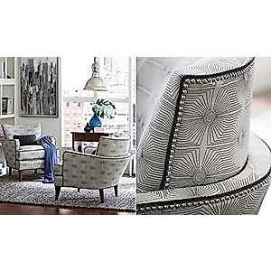 Capture Pre-Mist Soil Release for Carpet Dry Cleaner - Carpet Cleaning Pre Spray - Loosen Juice, Coffee & Wine Spill and Tough Rug Stains Eliminator - Multi-Purpose Cleaning Essentials (24oz)