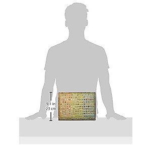 ensky 1000 Piece Jigsaw Puzzle Visual Dictionary of Pokemon Pokedex No.001~151 (51 x 73.5 cm)