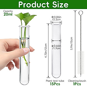 Worldity 15 Pcs Clear Test Tubes for Plant, 20 ml Plant Propagation Tube with Brush, Plastic Test Tubes for Hydroponic Plants, Flowers, Home Office Wall Decor (12 cm)