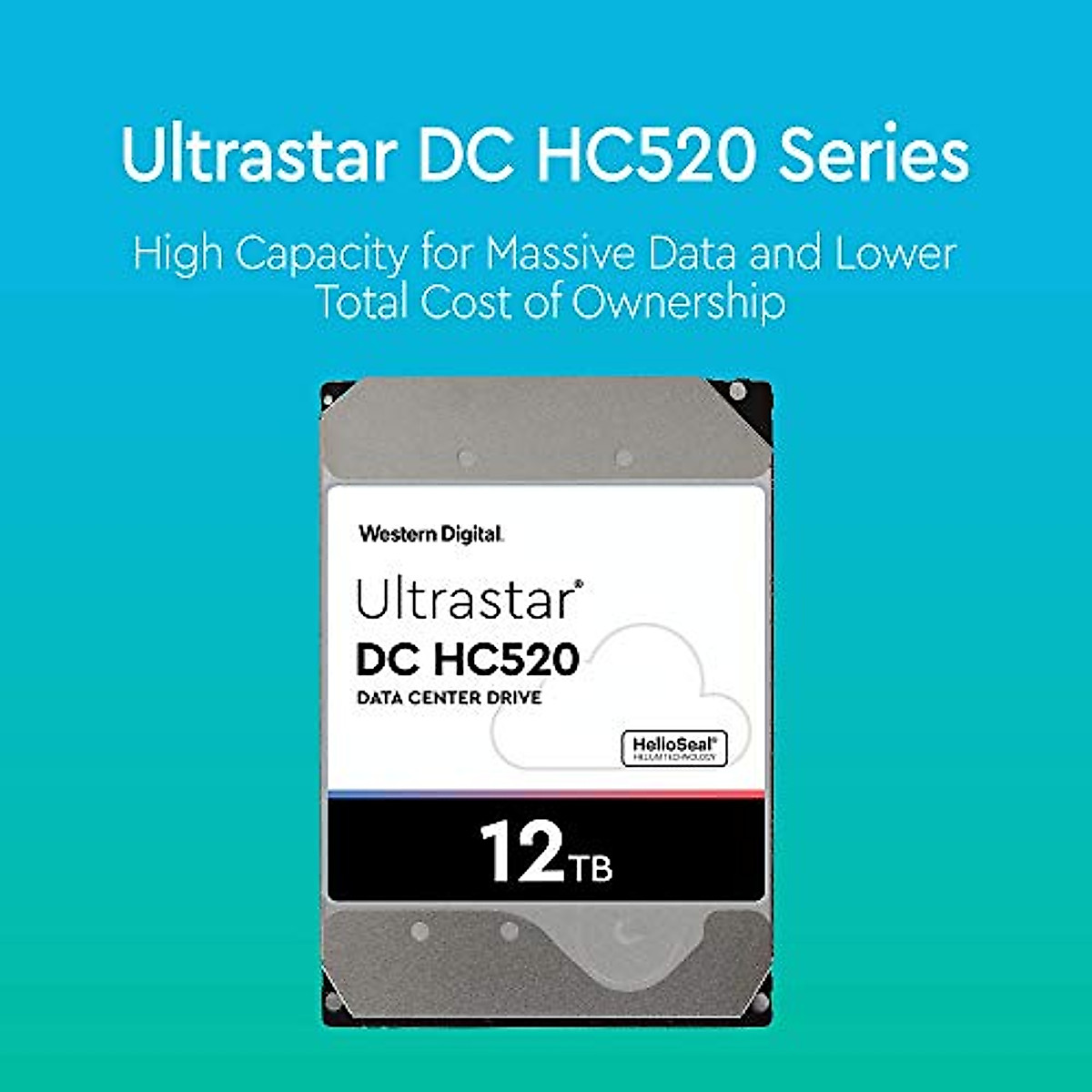 HGST - WD Ultrastar DC HC520 HDD | HUH721212ALE600 | 12TB 7.2K SATA 6Gb/s 256MB Cache 3.5-Inch | ISE 512e | 0F30144 | Helium Data Center Internal Hard Disk Drive (Renewed)